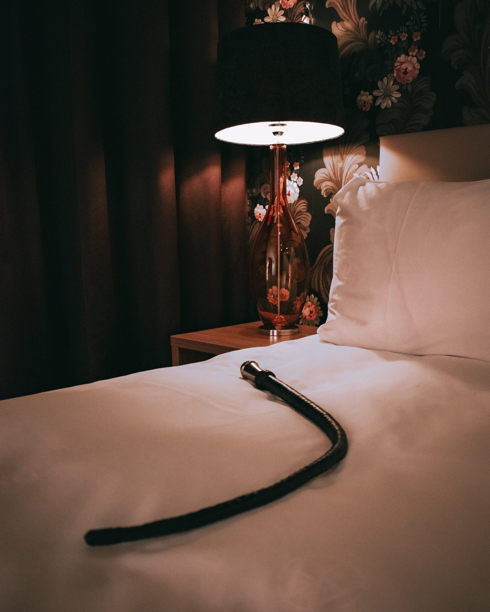 BDSM Training and Dominatrix Courses - Learn the Art of Domination ...